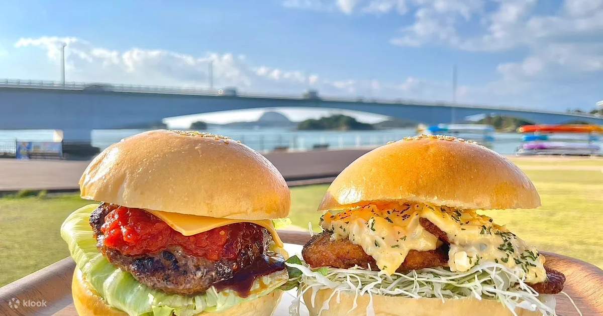 [Depart from Kumamoto] Amakusa Wild Dolphin Watching and Juicy Burger ...
